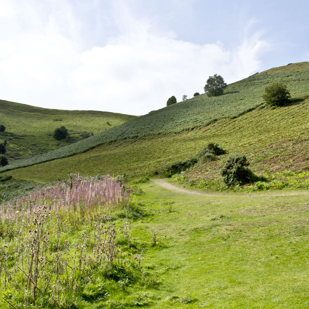 Luxury Dog-Friendly Hotel in Worcester | Colwall Park Hotel